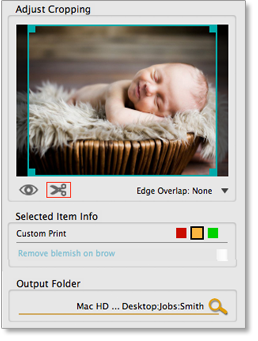ProSelect Cost & Reviews - Capterra Australia 2024