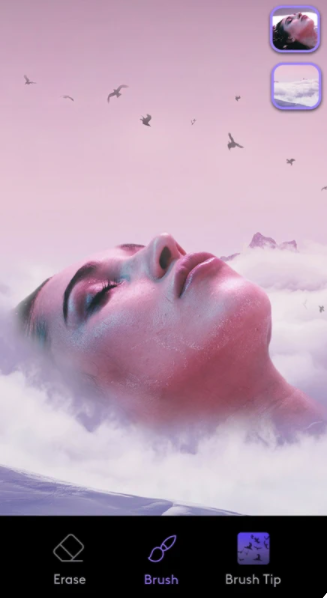 Photoleap Software - 2025 Reviews, Pricing & Demo