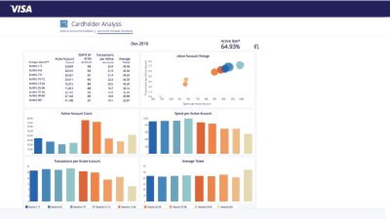 Visa Analytics Platform Price, Features, Reviews & Ratings - Capterra India