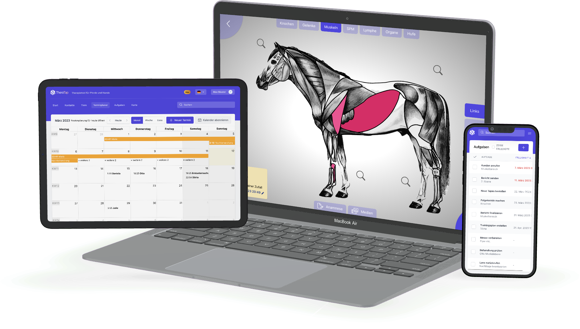 TheraTap Price, Reviews & Ratings | GetApp Ireland 2026