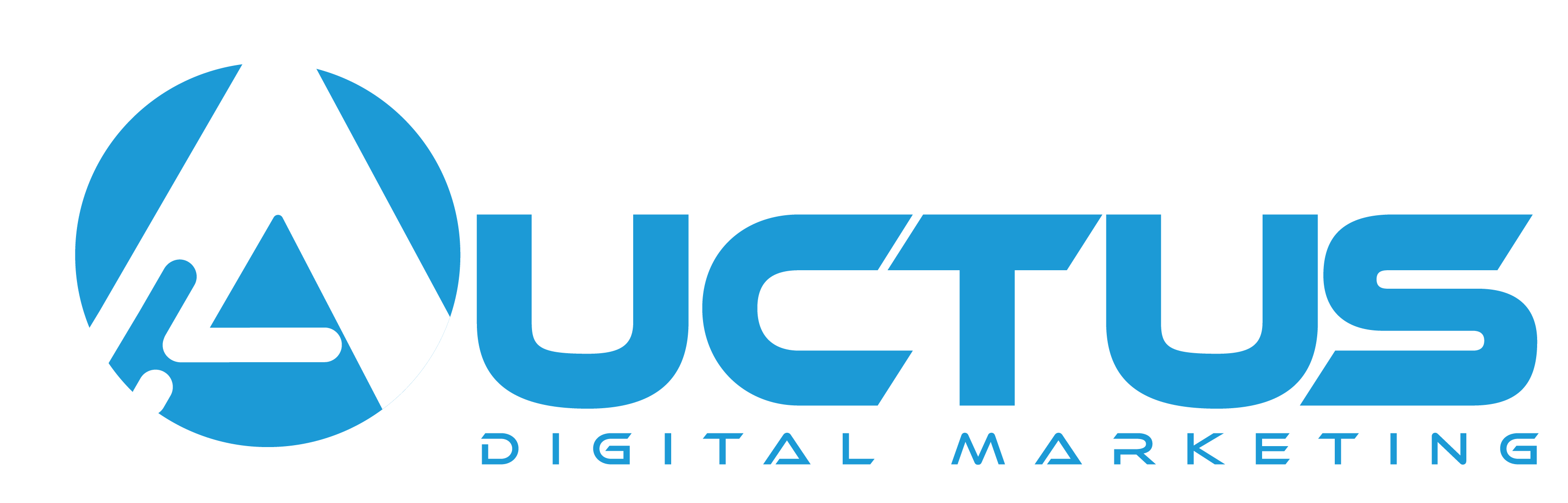 Auctus Digital Marketing Reviews, Details & More 2025 - Capterra